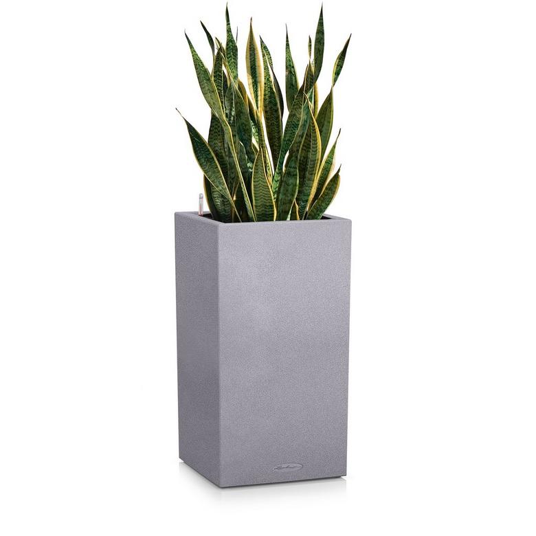 Lechuza Canto 40 Planter - Self-Watering Planter